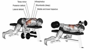 Dumbbell Rear Delt Fly: How To Do, Muscle Worked, Tips