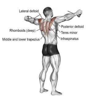 Reverse Cable Fly: Muscles Worked, How To Do and Form