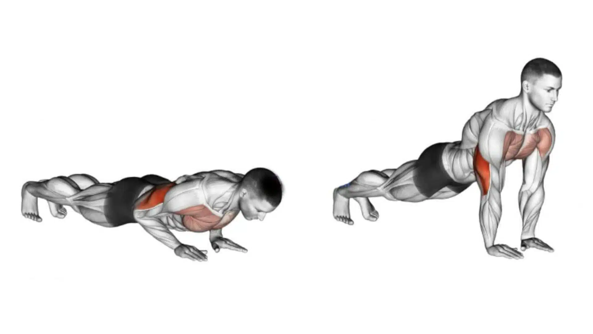 Best Push-Ups For Biceps That You Can Do Anywhere