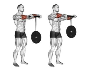 Gym Machine For Arm Workout (With 7 Best Arm Exercises)