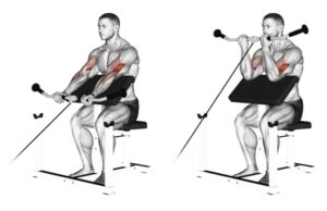 Cable Curl: Complete Step-By-Step Guide