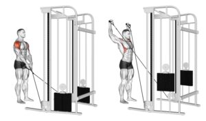 7 Best Cable Machine Trap Exercises (With Images)