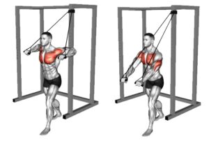 How To Do Resistance Band Chest Press Correctly