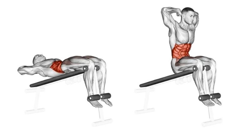 Bench Sit Up: How To Do, Muscles Worked