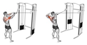 10 Best Gym Back Workout Machines (With Exercises Pictures)