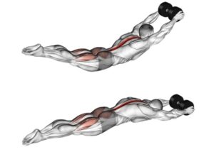 10 Best Dumbbell Workouts for Lower Back Strength