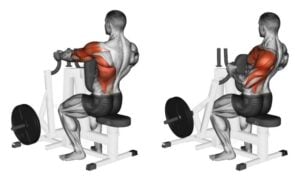 One Arm Machine Row: Muscles Worked, How To Do