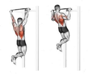 Pull-Ups: What Muscles Do They Work?