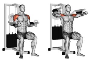 7 Gym Machine Shoulder Workout (Top Exercises, Muscle Worked)