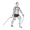 Low To High Cable Fly: Muscles Worked, How to Do Form