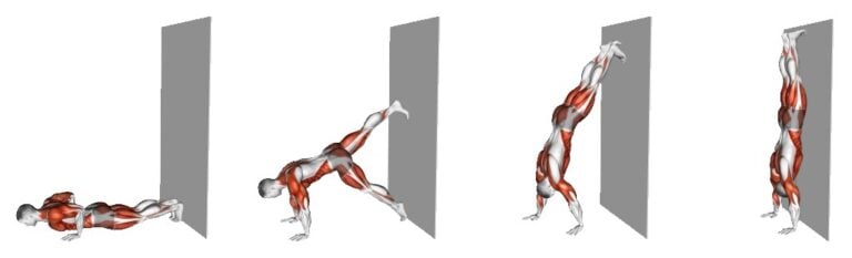 Wall Walk: How To Do and Muscles Worked