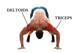 Pike Push-Ups: How To Do, Muscles Worked, and Form