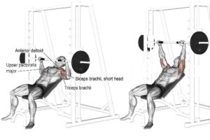 Smith Machine Bench Press: Muscles Worked, How To Do, Tips