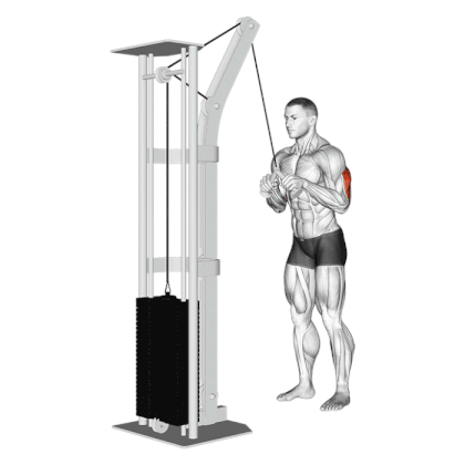 Cable Tricep Workout 15 Best Cable Machine Tricep Exercises 