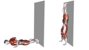 Wall Walk: How To Do and Muscles Worked