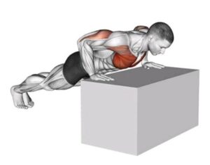 How To Do Push Up With Resistance Band Properly