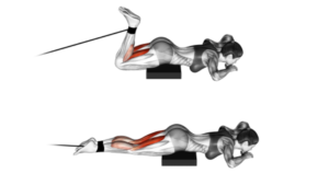 7 Best Resistance Band Hamstring Exercises (With Workout Plan)