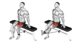 7 Best Resistance Band Quad Exercises To Build Stronger Leg