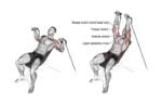 The Science Behind the Best Angle For Incline Bench Press