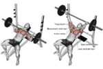 Incline Barbell Bench Press (Expert Tips Inside)