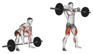 100+ Best Barbell Exercises Names (With Images)