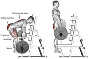 100+ Leg Exercises Names (With Images)