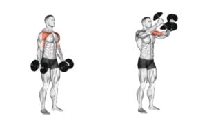 75+ Top Chest Exercises Names (With Images)