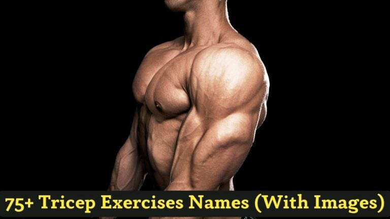 75+ Top Tricep Exercises Names (With Images)