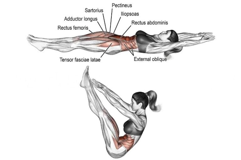 100+ Top Abs Exercises Names (With Images)