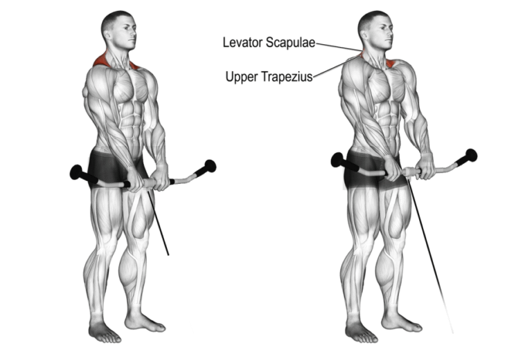 Cable Shrug: Muscles Worked, How To Do and Form