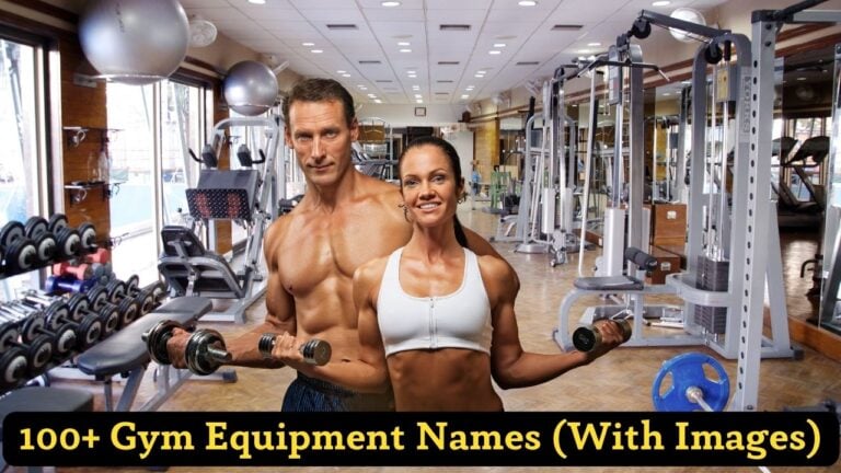 100+ Gym Equipment and Machine Names (With Images)