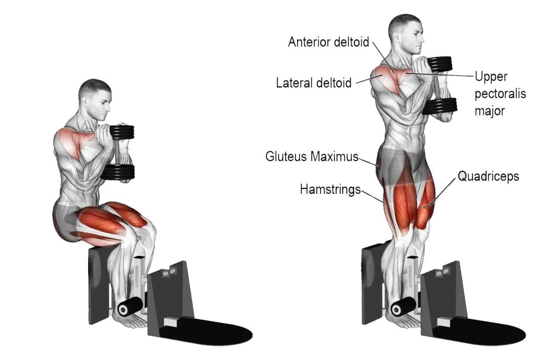 7 Gym Machine For Quad Workout (With Exercises)