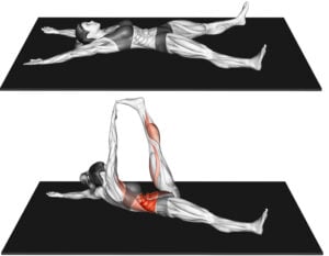 100+ Top Oblique Exercises Names (With Images)