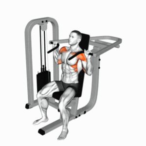 Shoulder Press Machine: How To Do, Muscles Worked & Pro Tips