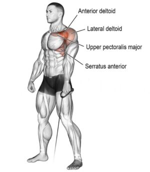 Single-Arm Cable Front Raise: How-to guide