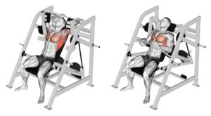 Pullover Machine: How To Do, Muscles Worked