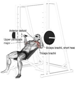 How To Do Smith Machine Incline Press With Correct Angle