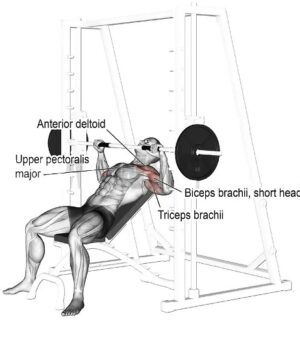 How To Do Smith Machine Incline Press With Correct Angle