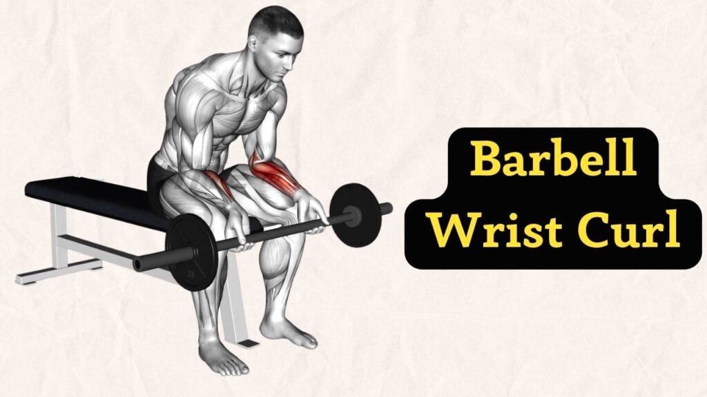 Bodyweight Bicep Curl Exercises That You Can Do at Home