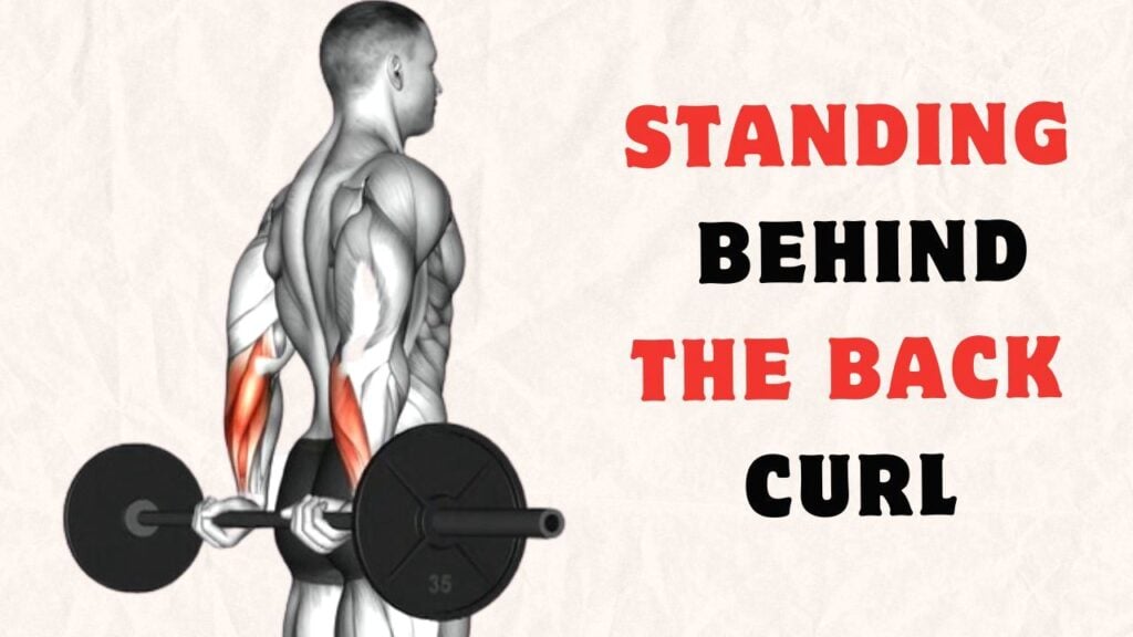 Bodyweight Bicep Curl Exercises That You Can Do at Home