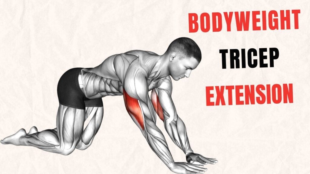 Kneeling Bodyweight Triceps Extension