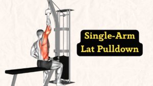 Single Arm Lat Pulldown: Video Exercise Guide & Tips