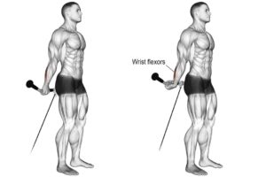 Cable Wrist Curls: Build Stronger, Defined Forearms