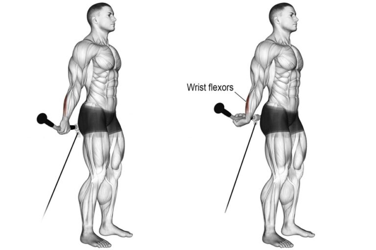 Cable Wrist Curls: Build Stronger, Defined Forearms