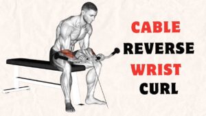 Cable Reverse Wrist Curl