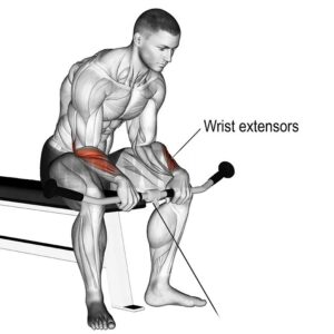 Cable Reverse Wrist Curl