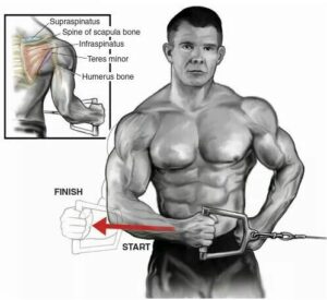 Cable External Rotation: How To Do and Muscles Worked