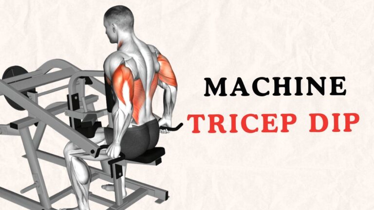 Machine Tricep Dip: Muscles Worked and How To Do