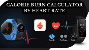 Calorie Burn Calculator By Heart Rate