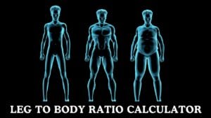 Leg to Body Ratio Calculator